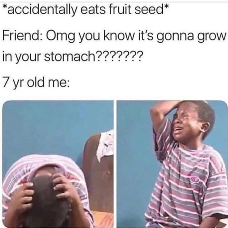 Fruit Memes: 40 Memes So Fresh They Still Have Stickers