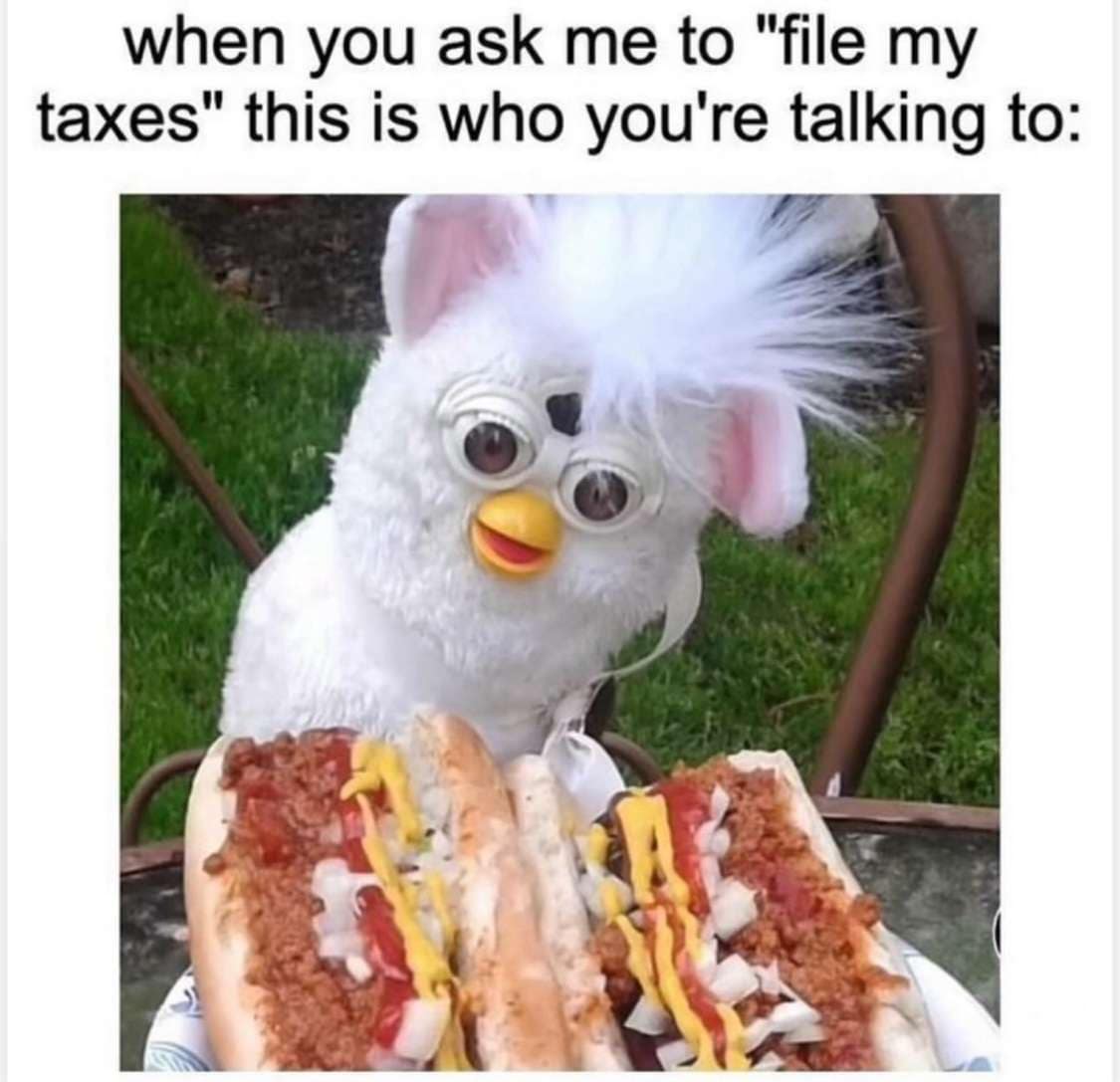 funny memes 1-21-4-21-2025 - Thunder Dungeon | The Funniest Memes. Period.