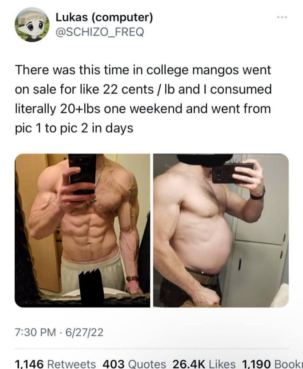 37 Funny Technology Memes for Those That Chose the BUG Life