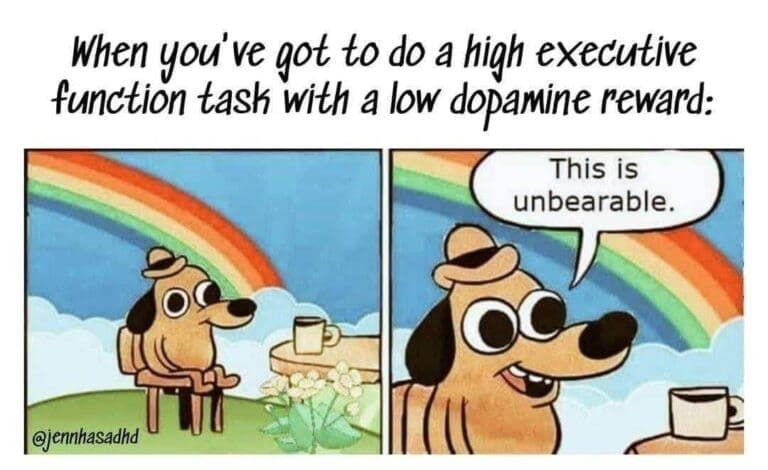 40 Funny Cat Memes for Unapologetic Feline Enthusiasts