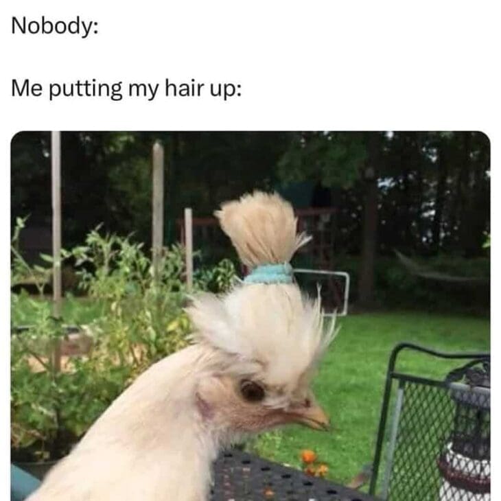 40 Hilarious Grumpy Animal Memes to Cure Your Own Bad Mood