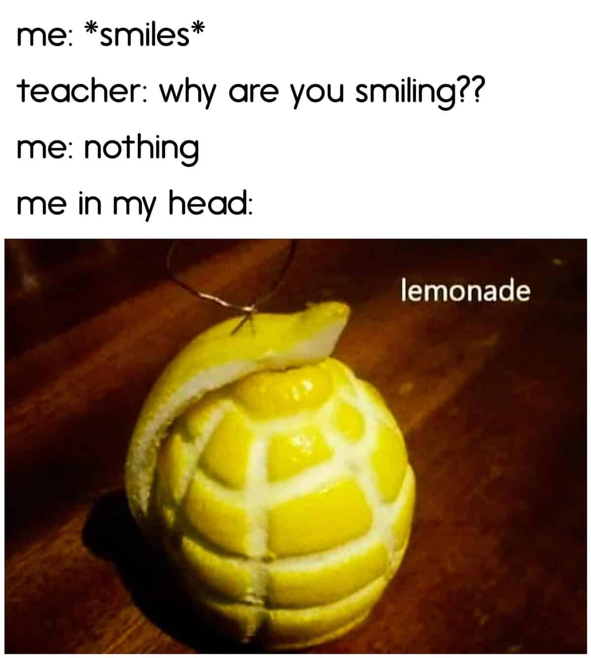 high iq memes-33-4-22-2025 - Thunder Dungeon | The Funniest Memes. Period.