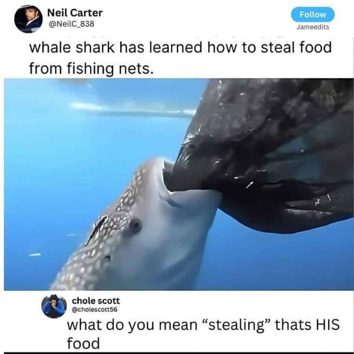 43 Smartly Sarcastic High IQ Memes for the Cleverest Minds