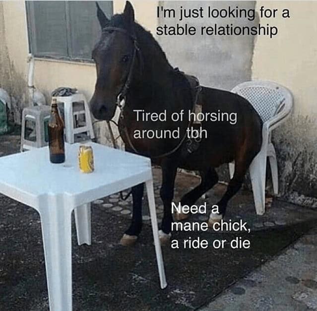 horse memes-15-20250417 - Thunder Dungeon | The Funniest Memes. Period.