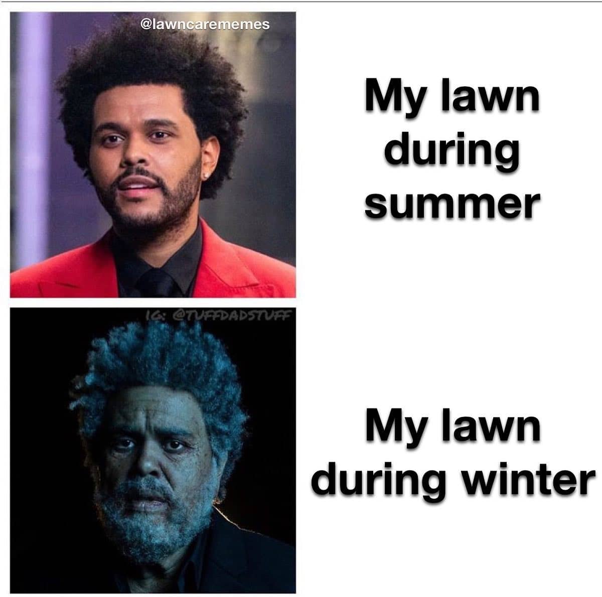 lawn care meme-23-4-28-2025 - Thunder Dungeon | The Funniest Memes. Period.