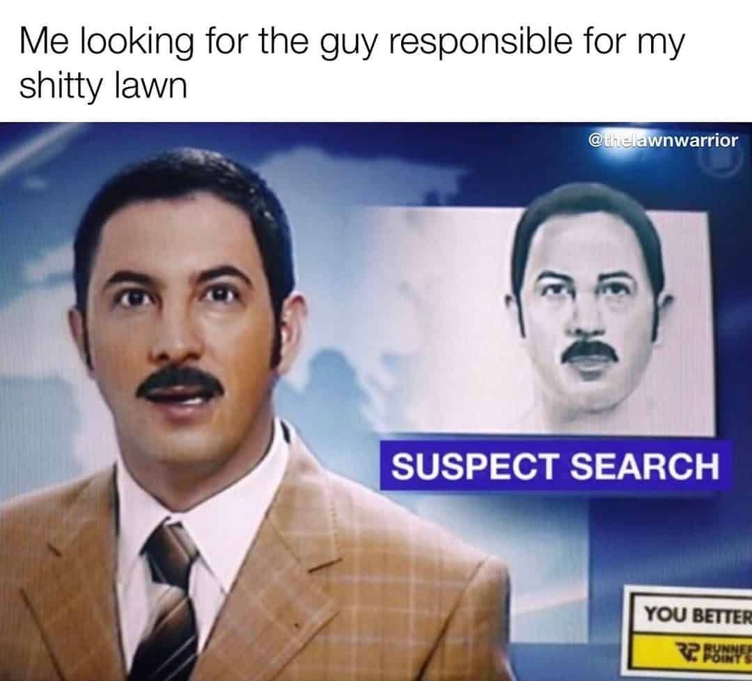 lawn care meme-25-4-28-2025 - Thunder Dungeon | The Funniest Memes. Period.
