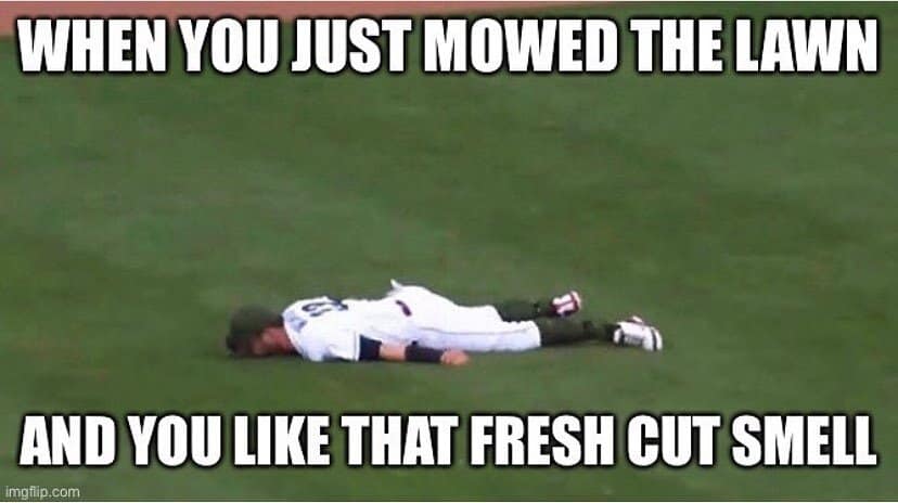 lawn care meme-34-4-28-2025 - Thunder Dungeon | The Funniest Memes. Period.