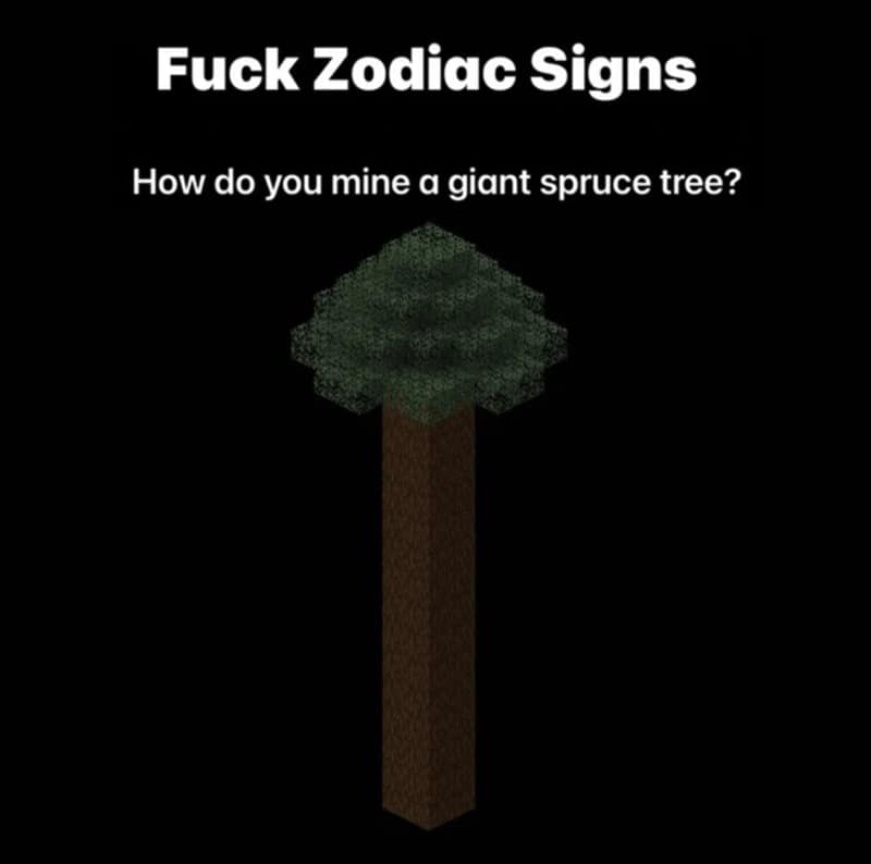 minecraft memes-35-4-11-2025 - Thunder Dungeon | The Funniest Memes ...