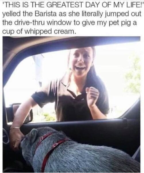 Pig Memes: 35 Memes From The Trough