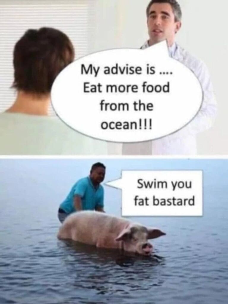 Pig Memes: 35 Memes From The Trough