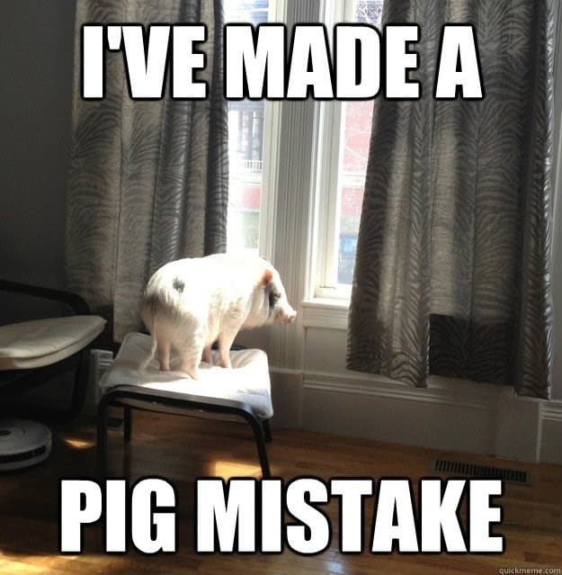pig memes-16-20250417 - Thunder Dungeon | The Funniest Memes. Period.