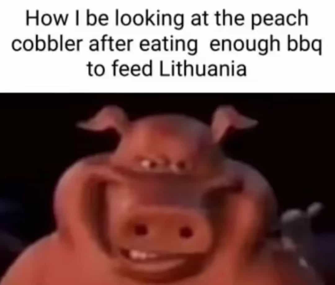 pig memes-26-20250417 - Thunder Dungeon | The Funniest Memes. Period.