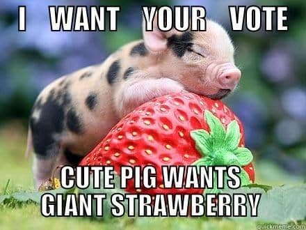 Pig Memes 35 Memes From The Trough Pig Memes 35 Memes From The Trough