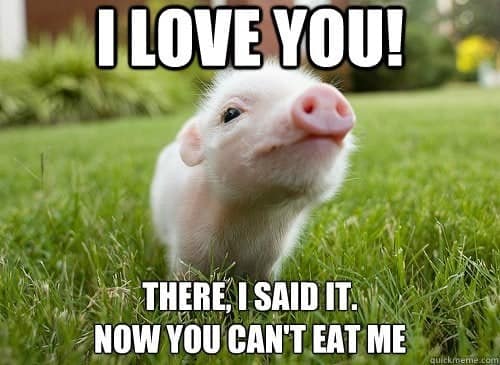 Pig Memes 35 Memes From The Trough Pig Memes 35 Memes From The Trough