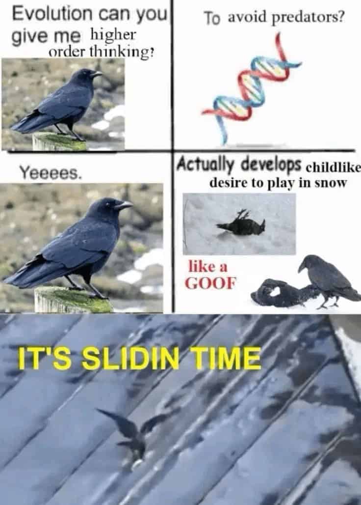 science memes-30-20250411 - Thunder Dungeon | The Funniest Memes. Period.