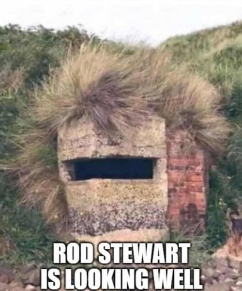 32 Scottish Memes and Tweets That Are Funnier Than Haggis is Weird