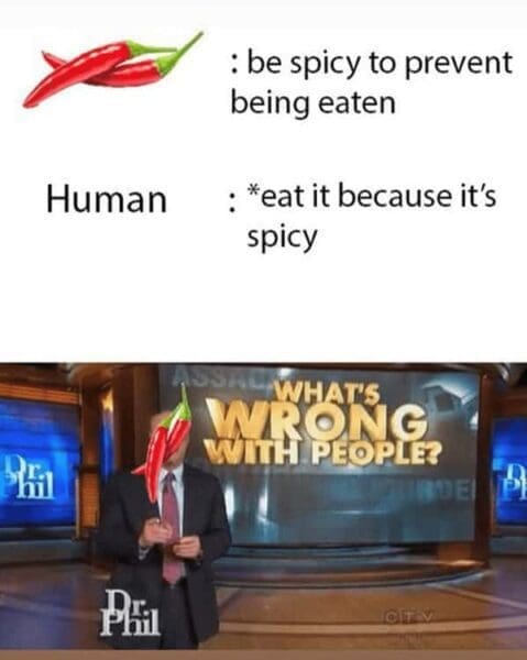 Spicy Food Memes: 30 Picante Giggles For Your Tongue