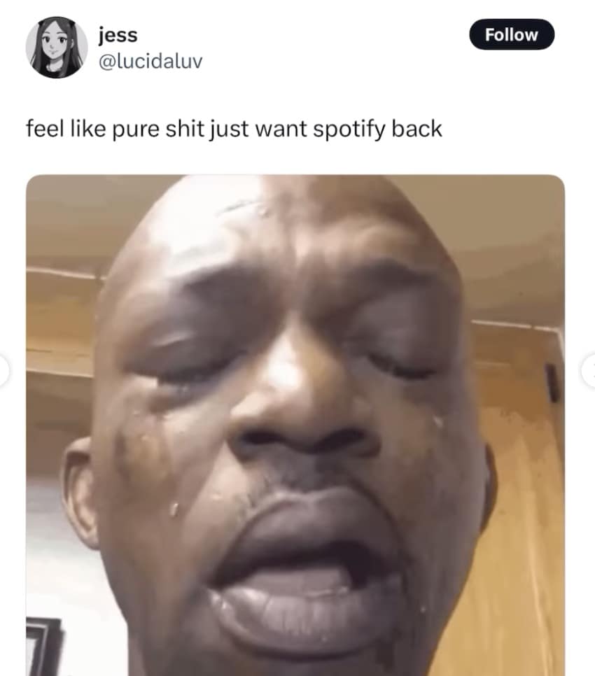spotify crash memes-19-20250417 - Thunder Dungeon | The Funniest Memes ...