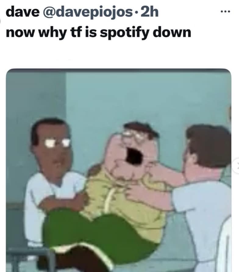 spotify crash memes-25-20250417 - Thunder Dungeon | The Funniest Memes. Period.