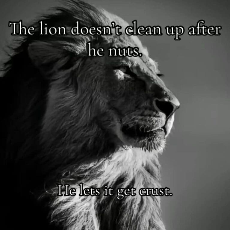 The Lion Memes: 19 Times The Lion Did Not Concern Himself