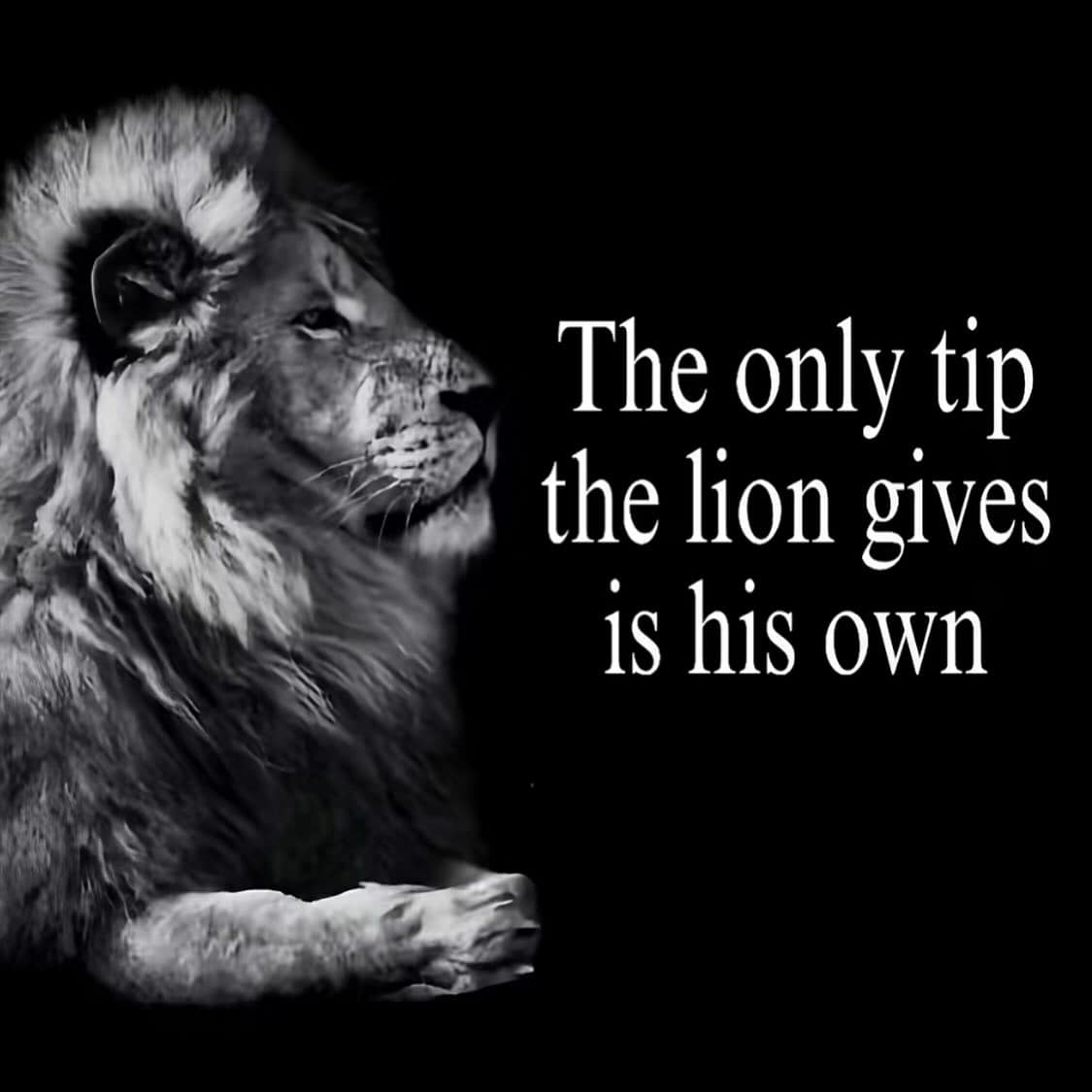 the lion memes-15-20250415 - Thunder Dungeon | The Funniest Memes. Period.