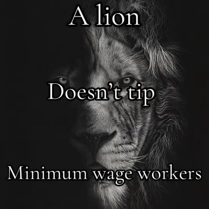 The Lion Memes: 19 Times The Lion Did Not Concern Himself