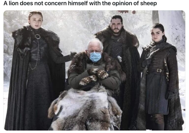 The Lion Memes: 19 Times The Lion Did Not Concern Himself