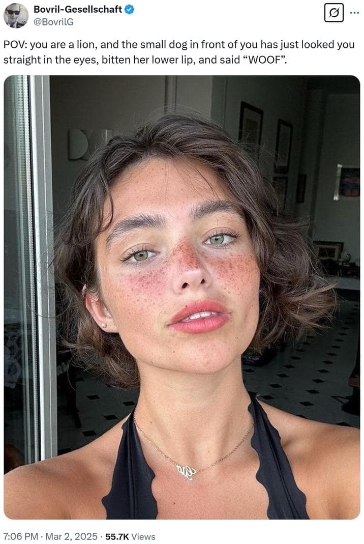 the lion memes-3-20250415 - Thunder Dungeon | The Funniest Memes. Period.