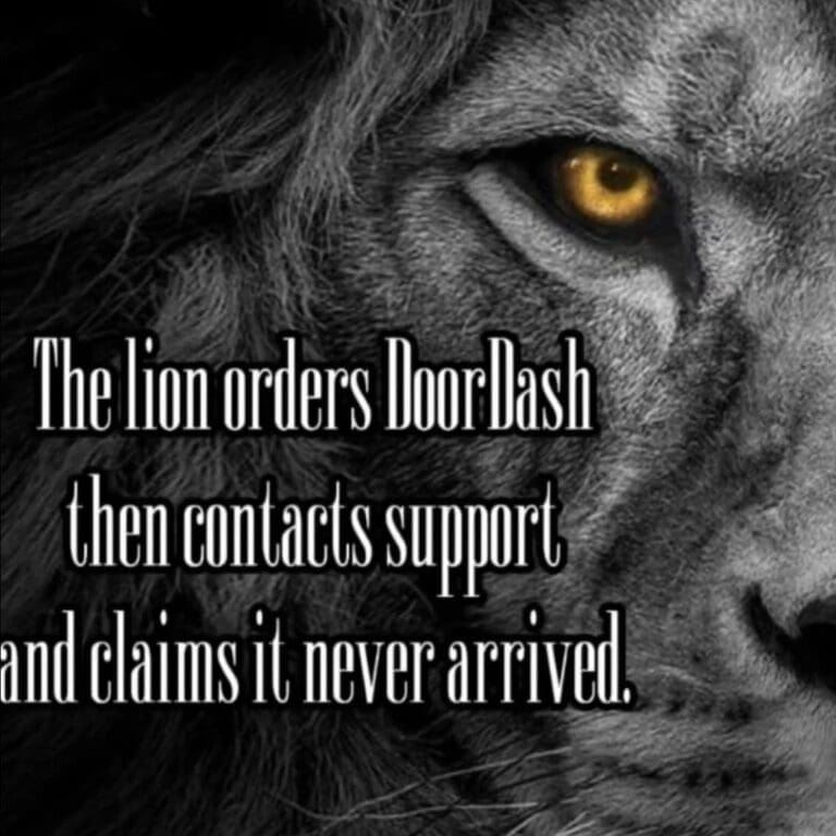 The Lion Memes: 19 Times The Lion Did Not Concern Himself