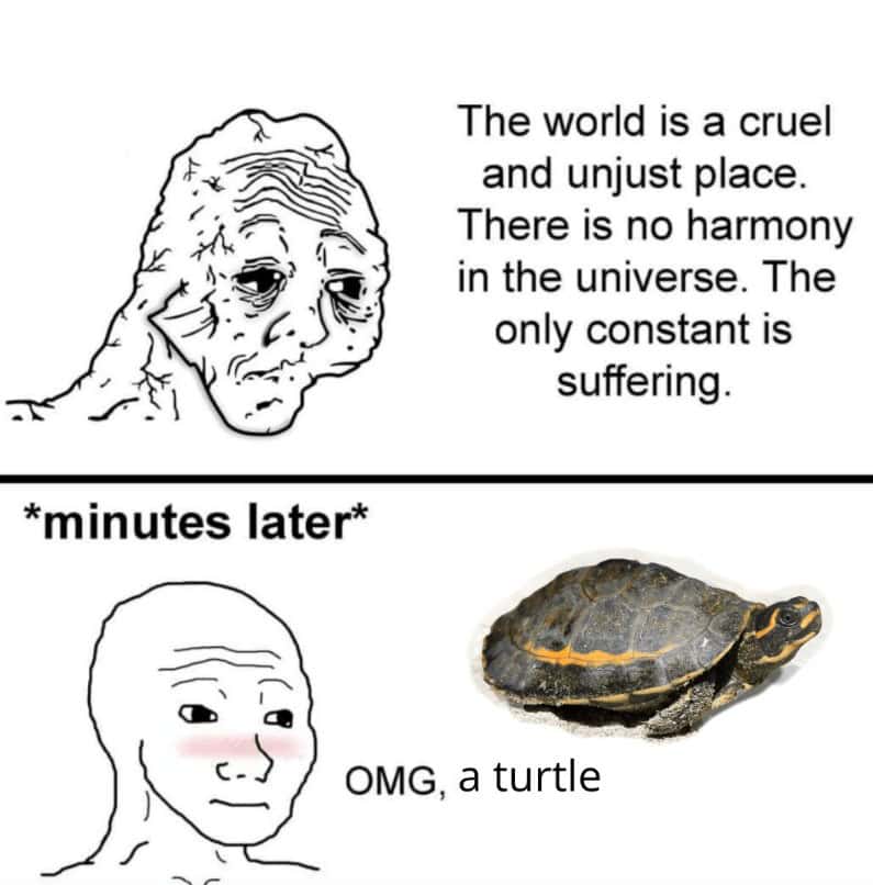 turtle memes-46-20250430 - Thunder Dungeon | The Funniest Memes. Period.