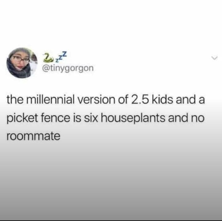 weirdly specific jokes-2-4-23-2025 - Thunder Dungeon | The Funniest ...