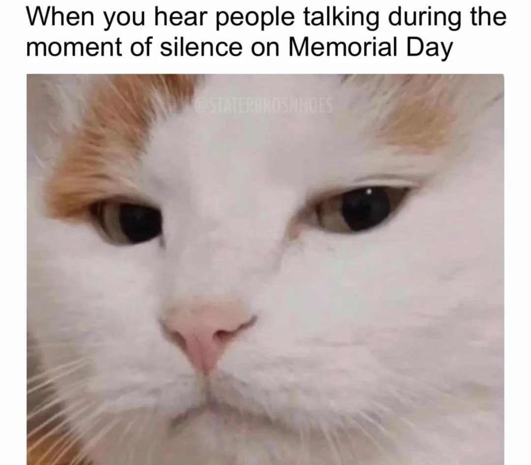 2025 Memorial Day memes-12-20250526 - Thunder Dungeon | The Funniest ...