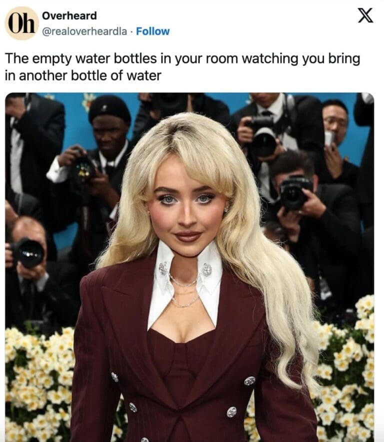 Met Gala 2025 Memes: 48 Of The Best Reactions