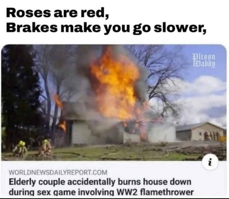44 Funny Brand New Sentences That Are Weirdly Brilliant