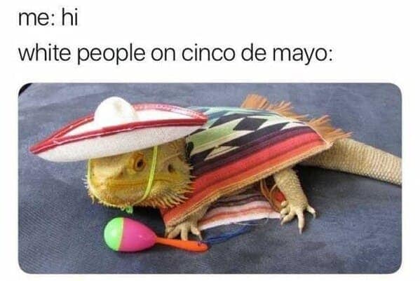 Cinco de Mayo Memes: 30 Gems Celebrating May 5th in Style