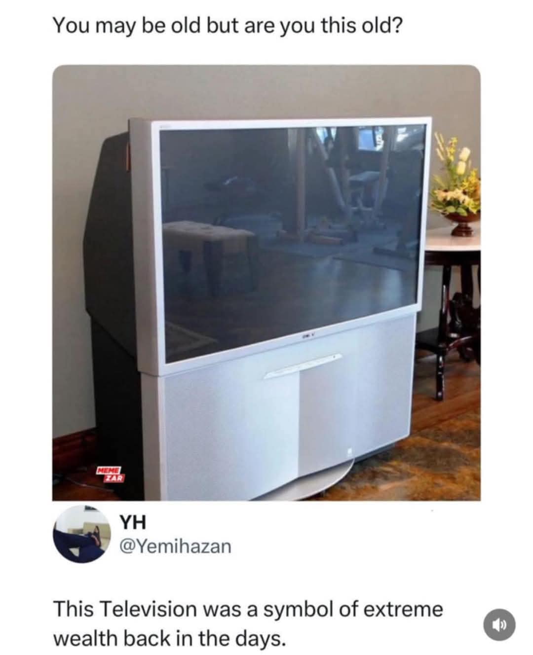 classic memes-04-4-20250527 - Thunder Dungeon | The Funniest Memes. Period.