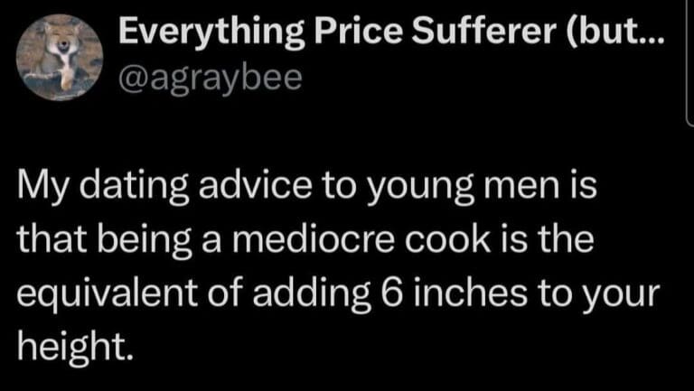 Cat Memes: 40 Memes to Ponder While Your Cat Judges You