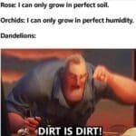 45 Clean Memes Perfect for Laughs at Work