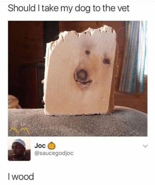 45 Clean Memes Perfect for Laughs at Work