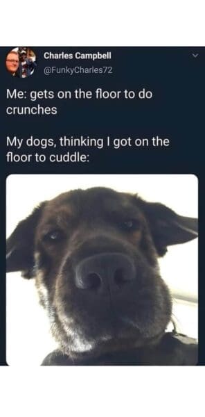 45 Clean Memes Perfect for Laughs at Work