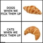 Croissant Meme Dump: 24 Flaky Laughs for Breakfast