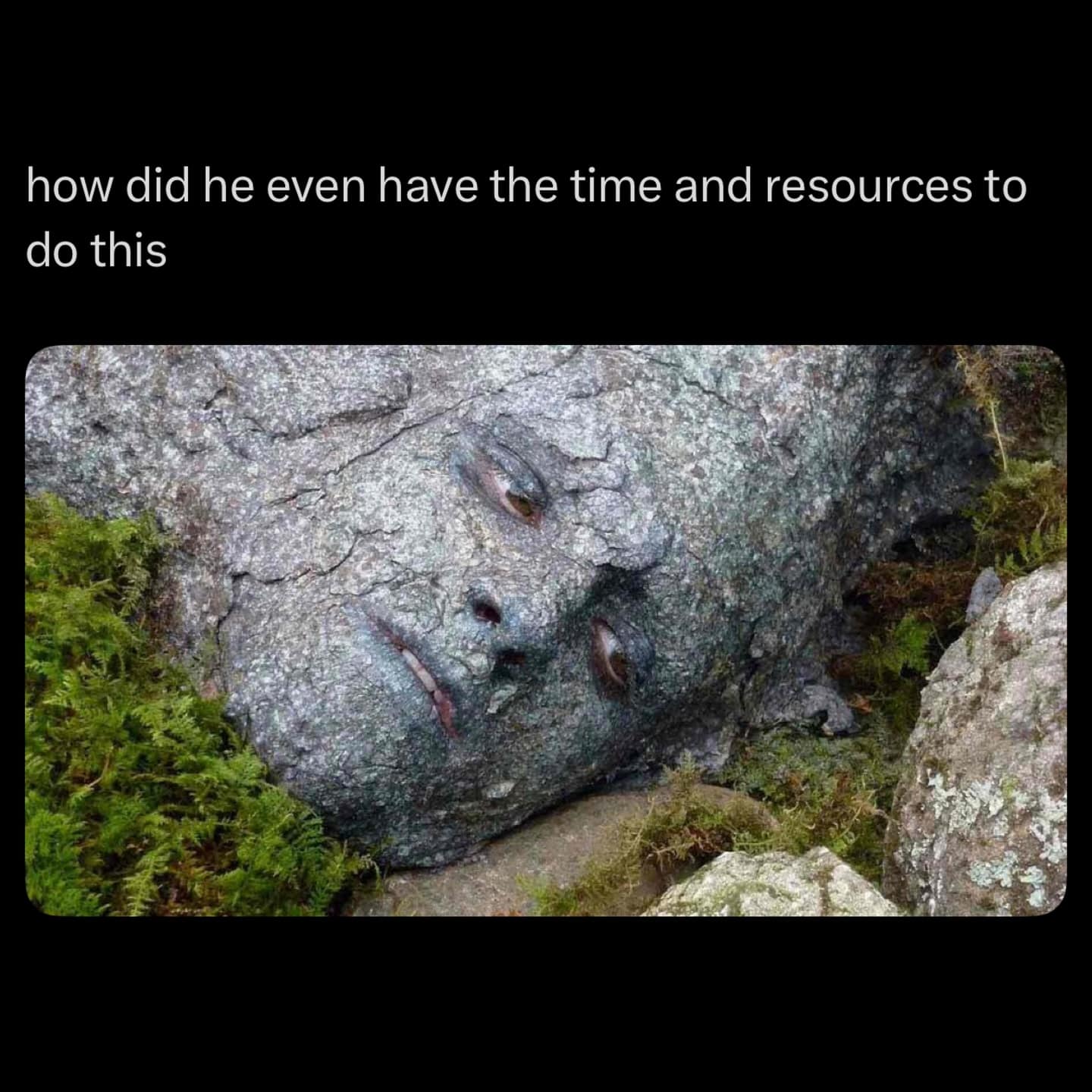 funny memes 1-1-5-26-2025 - Thunder Dungeon | The Funniest Memes. Period.