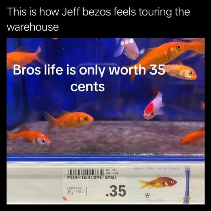 40 Dad Memes Only A Father Could Truly Love