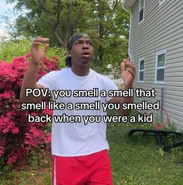 Funny TikTok Screenshots: 35 Of The Week's Wildest