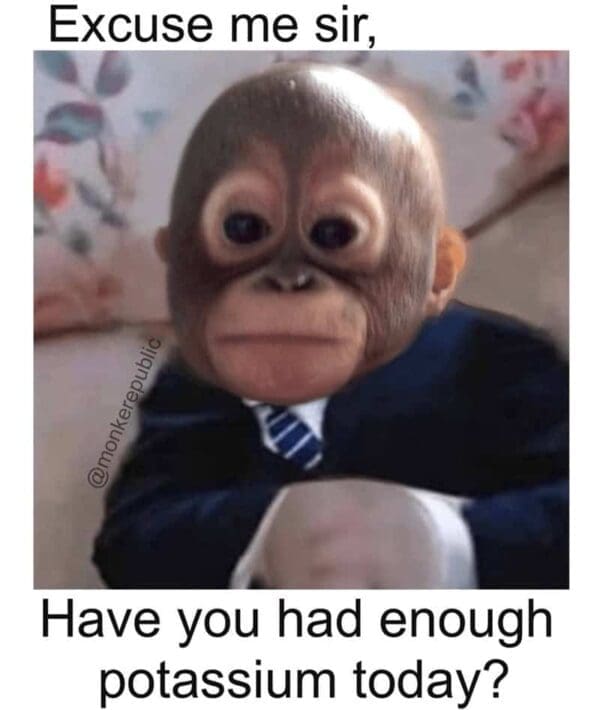 Gorilla Meme Dump: 50 Primate Punchlines in One Swing