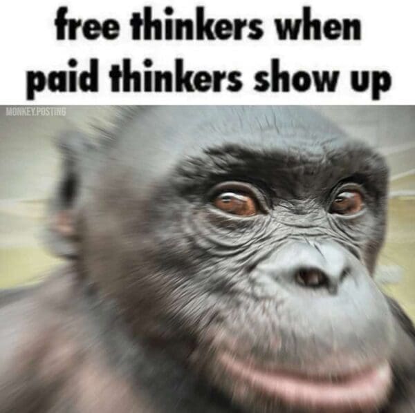 Gorilla Meme Dump: 50 Primate Punchlines in One Swing