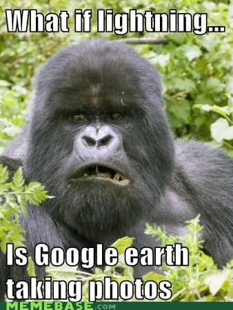 Gorilla Meme Dump: 50 Primate Punchlines in One Swing