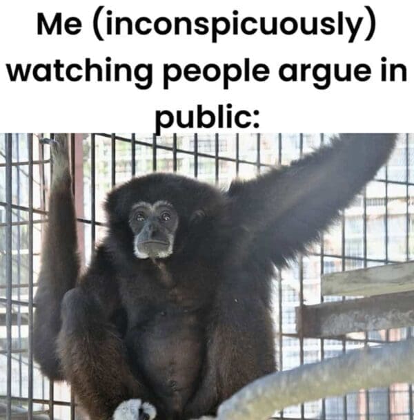 Gorilla Meme Dump: 50 Primate Punchlines in One Swing