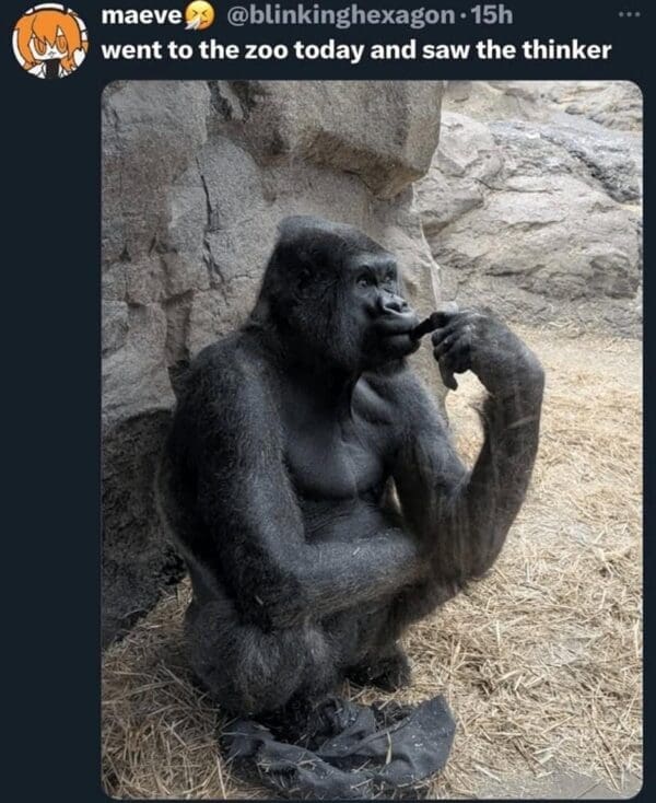 Gorilla Meme Dump: 50 Primate Punchlines in One Swing