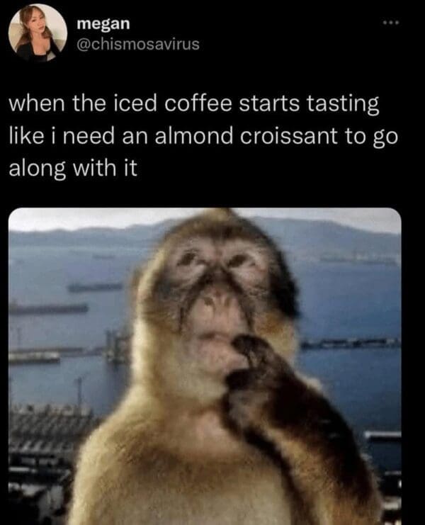 Gorilla Meme Dump: 50 Primate Punchlines in One Swing